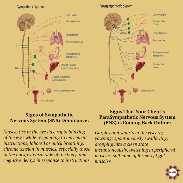 BodyWisdom Blog - NeuroMuscular Reprogramming
